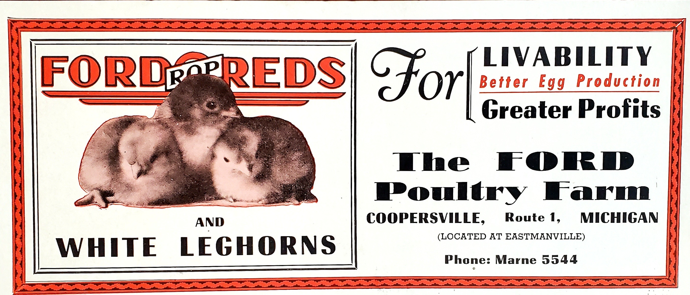 The FORD Poultry Farm advertisement | Coopersville Area Historical Society
