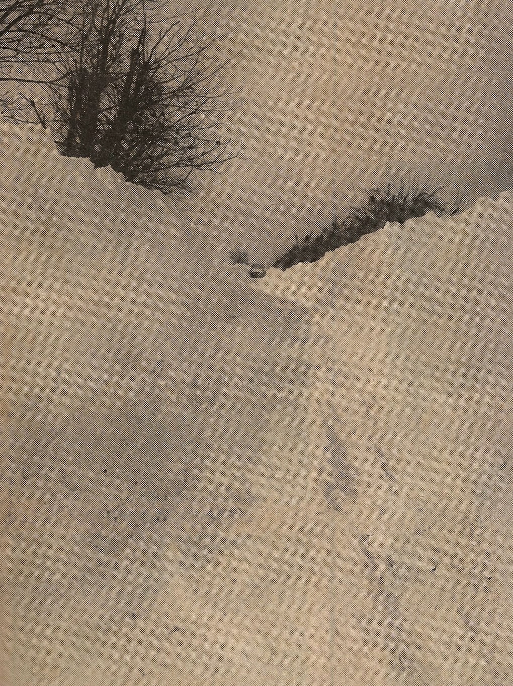 Storm 1977 - snow removal view of 20th Avenue in Wright Township ...